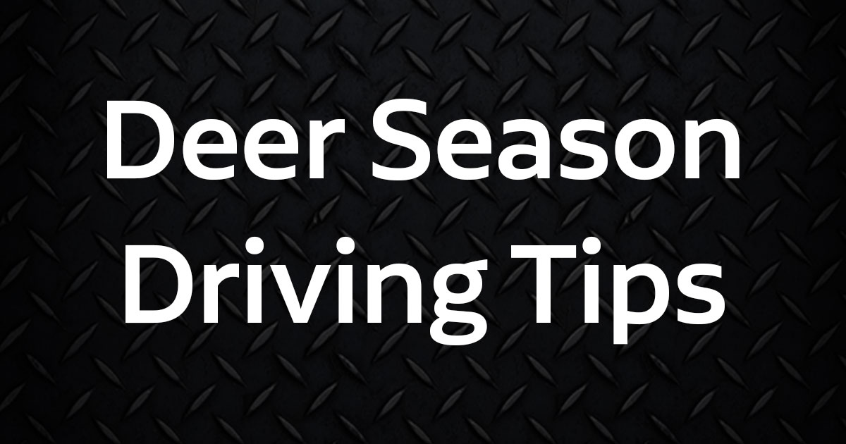 Deer Season Driving Tips!